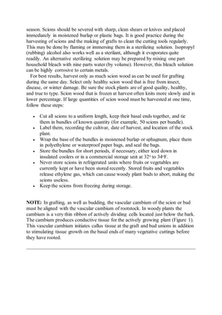 Altoire grafting | DOCX