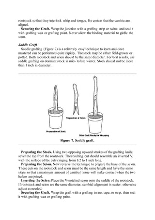 Altoire grafting | DOCX