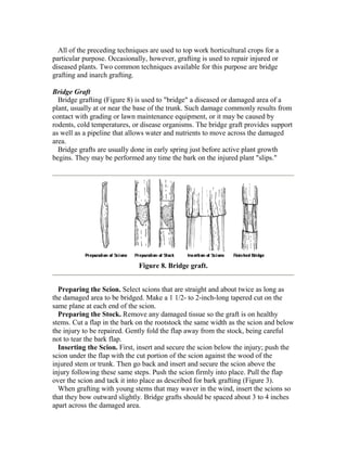 Altoire grafting | PDF