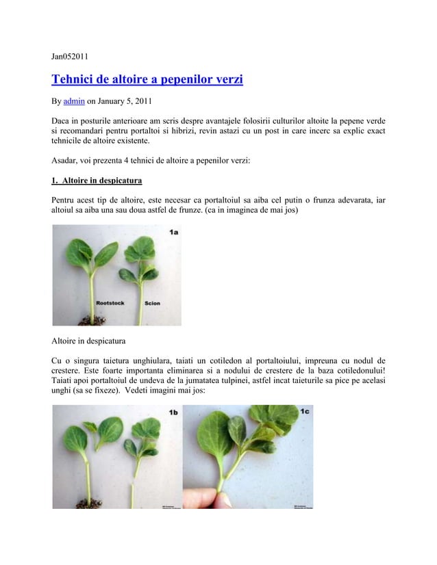 Altoire pepene verde | DOCX