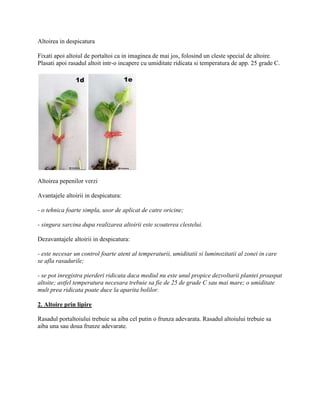 Altoire pepene verde | PDF