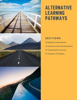Alternative Pathways | PDF