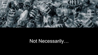 Altruism: Can animals be truly selfless? | PPTX