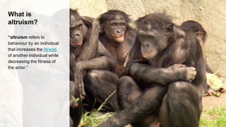 Altruism: Can animals be truly selfless? | PPTX