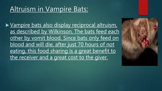 Altruism | PPTX