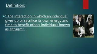 Altruism | PPTX