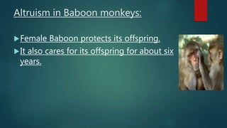 Altruism | PPTX