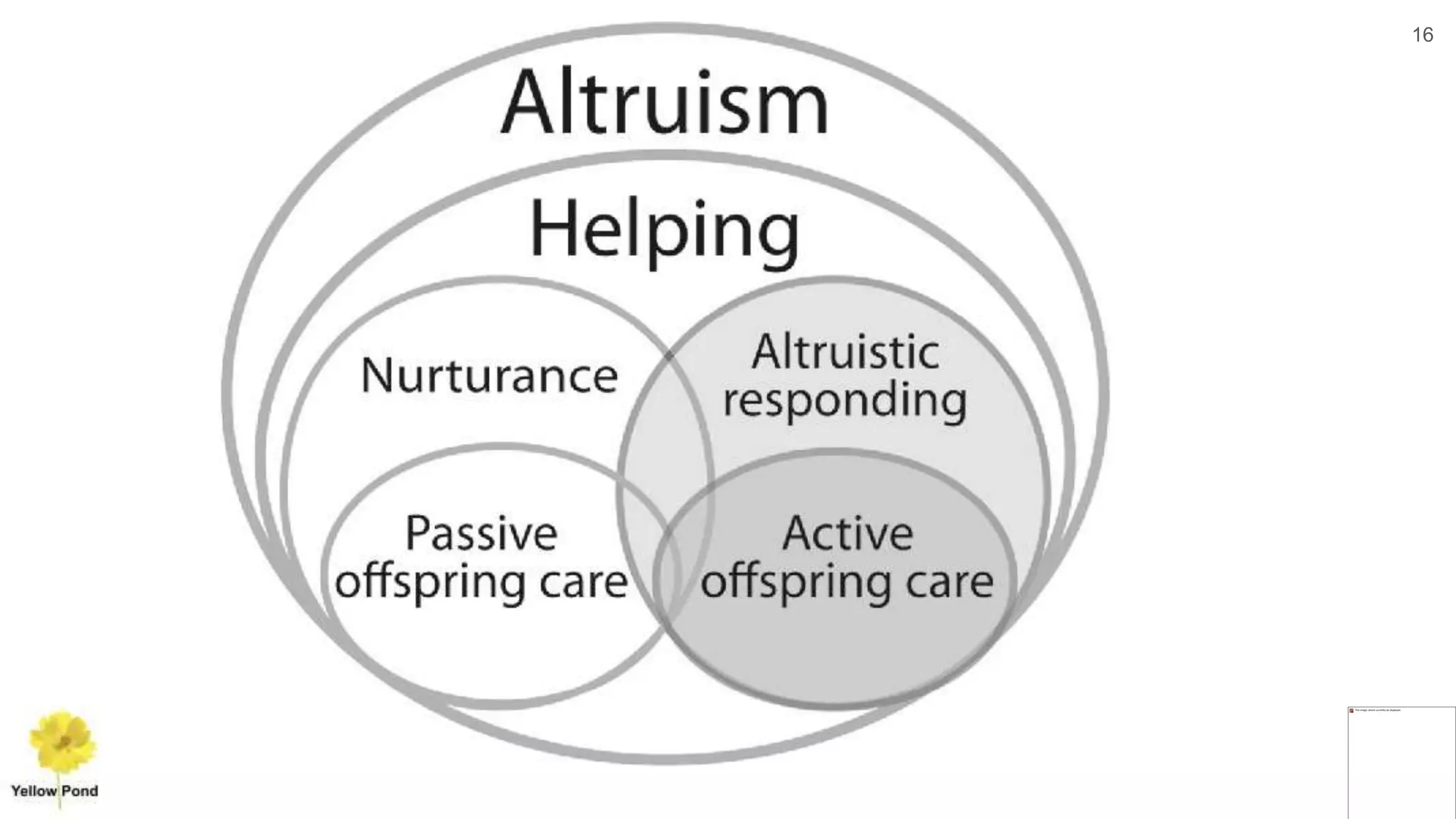 Altruism | PPTX