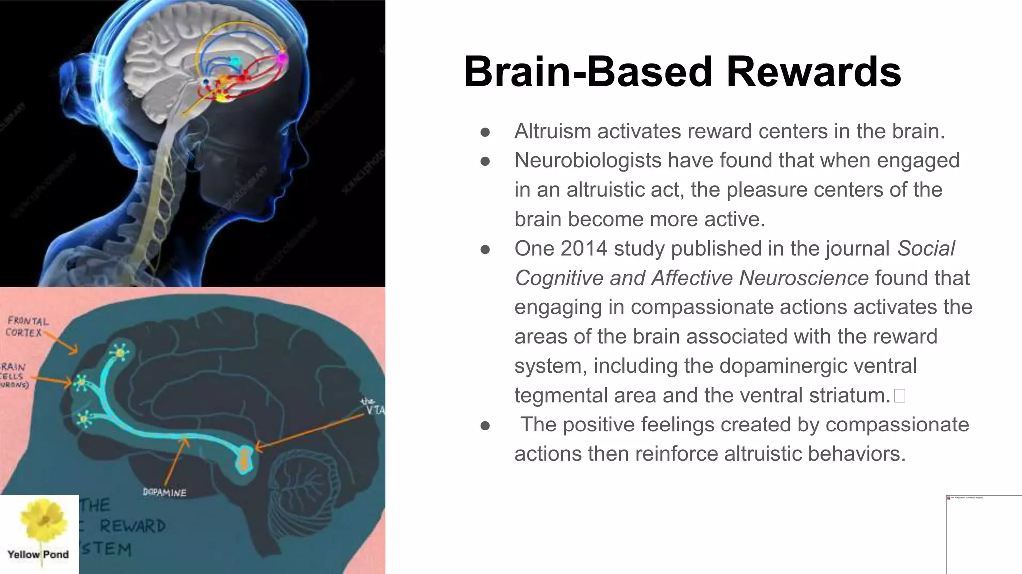 Altruism | PPTX