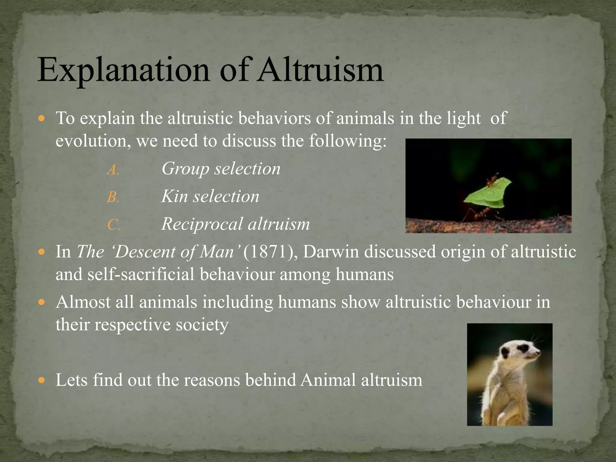 Altruism and evolution | PPTX