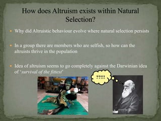 Altruism and evolution | PPTX
