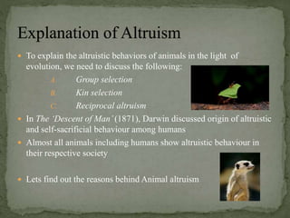 Altruism and evolution | PPTX