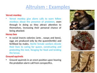 Altruism and evolution-Group selection, Kin selection,.pptx