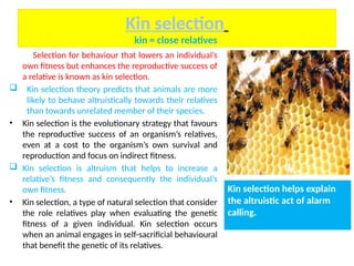 Altruism and evolution-Group selection, Kin selection,.pptx