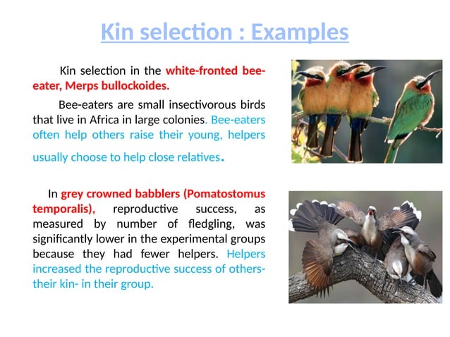 Altruism and evolution-Group selection, Kin selection,.pptx