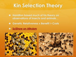 Altruism theories | PPTX | Genetics | Science