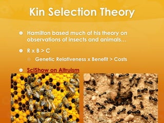 Altruism theories | PPT