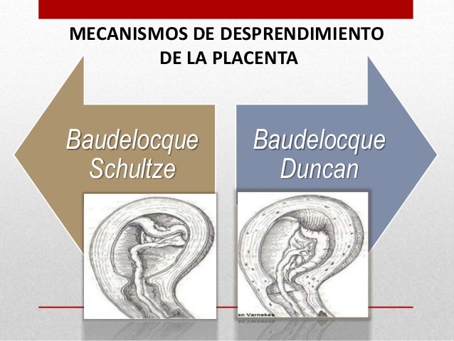 Alumbramiento natural y patológico.