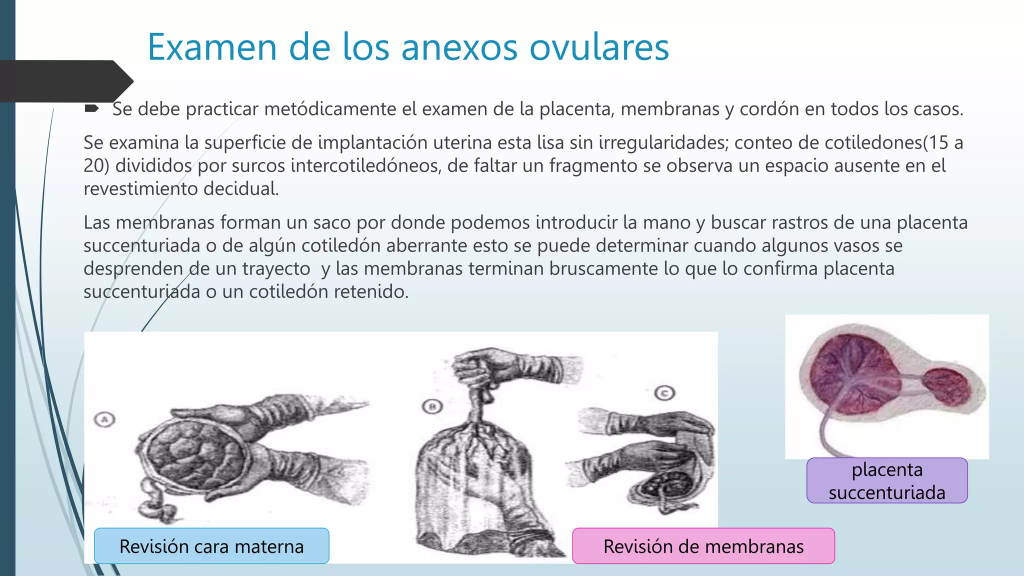 alumbramiento normal.pptx