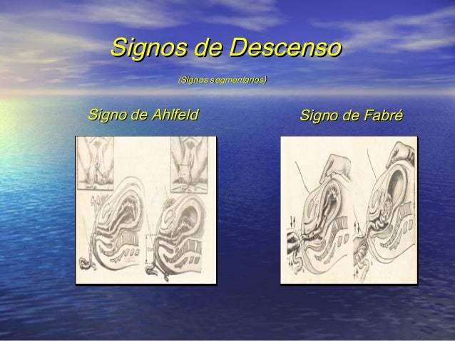 Alumbramiento normal y patologico gregory