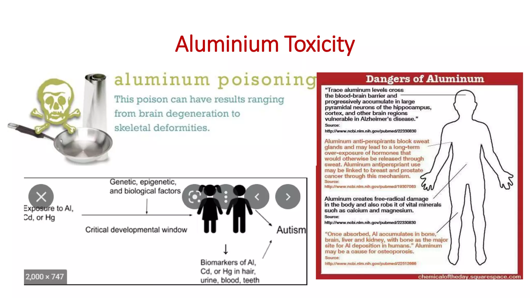 Aluminium Toxicity notes.pdf