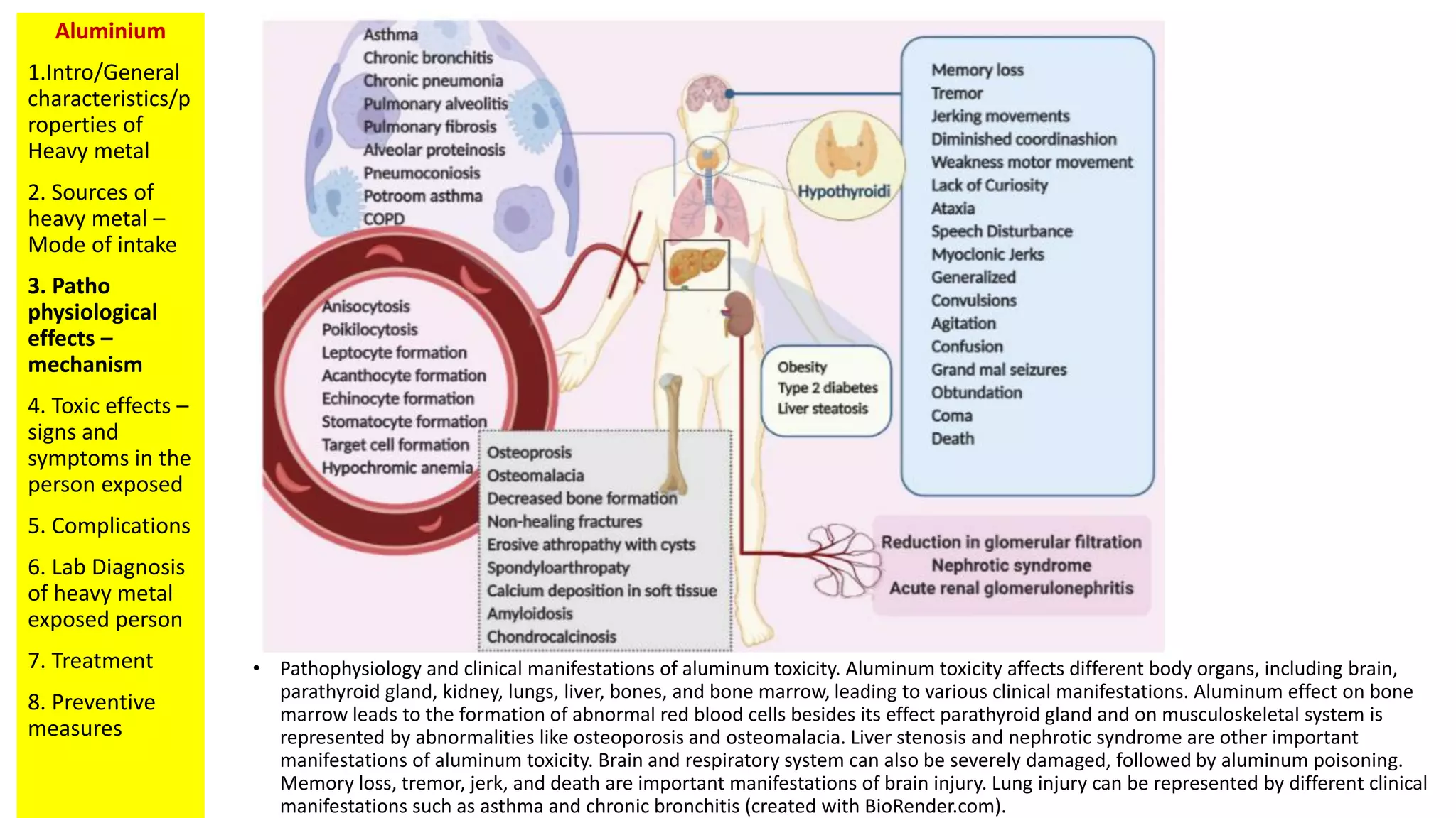 Aluminium Toxicity notes.pdf