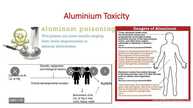 Aluminium Toxicity notes.pdf | Chemistry | Science