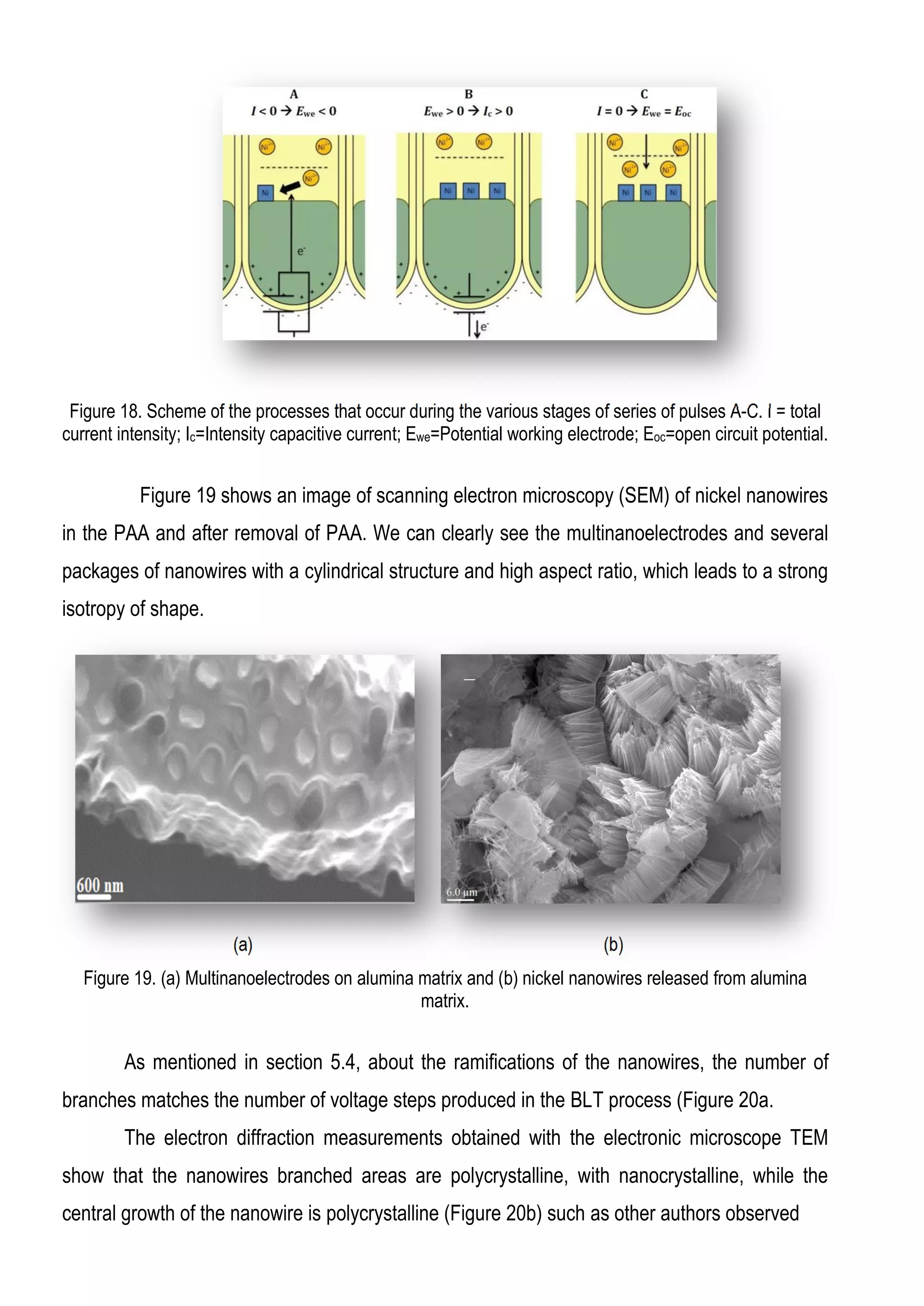 Aluminum anodizing: The study of the structure of the alumina layer | PDF