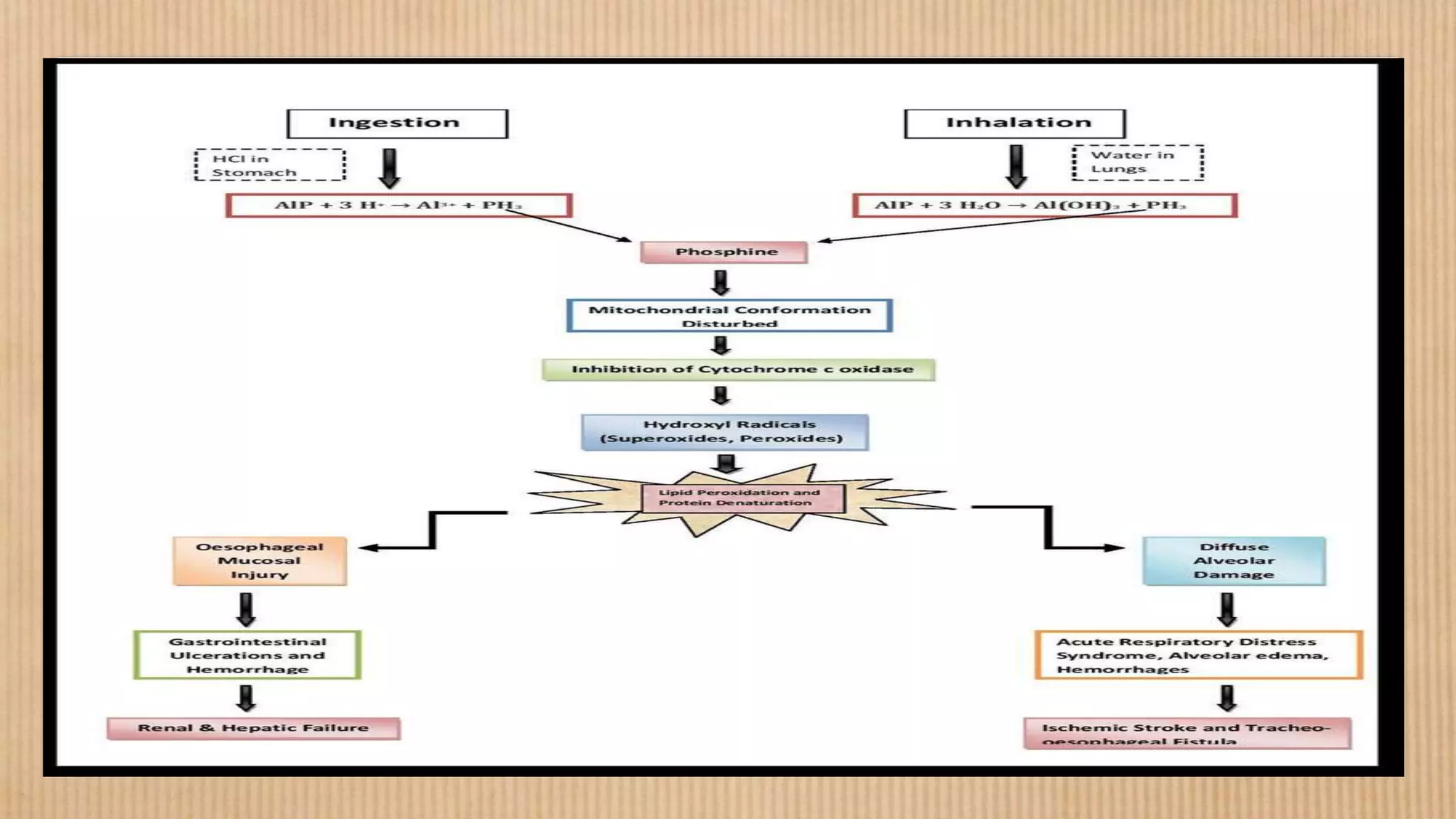 Aluminum phosphide poisoning | PPTX