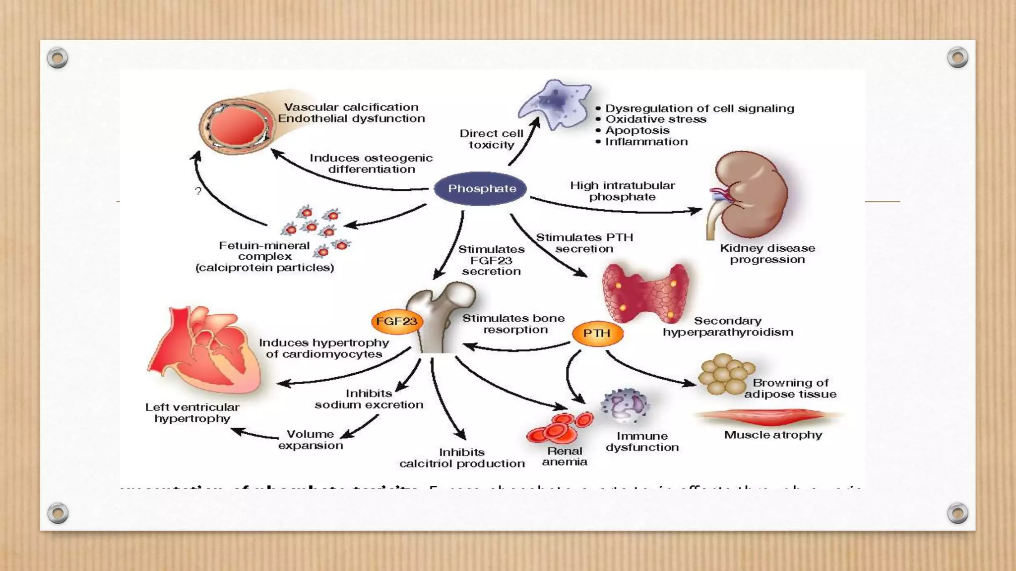 Aluminum phosphide poisoning | PPTX