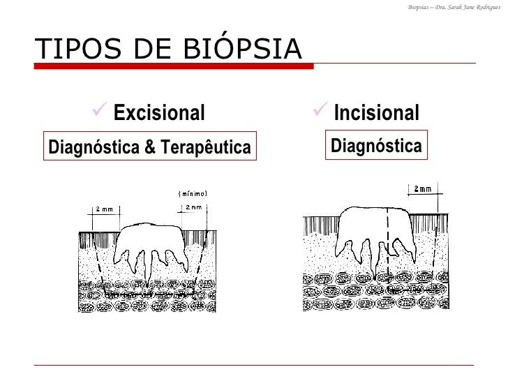Alunos Med Biópsias 2007 2