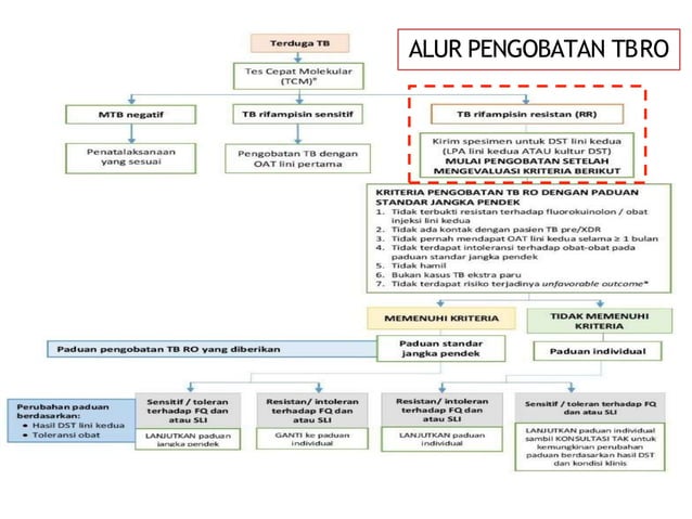 Alur diagnosis tb tb ro dan pemeriksaan lab tb ro | PPTX