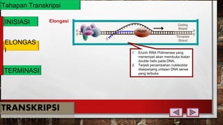 Alur informasi genetik | PPT