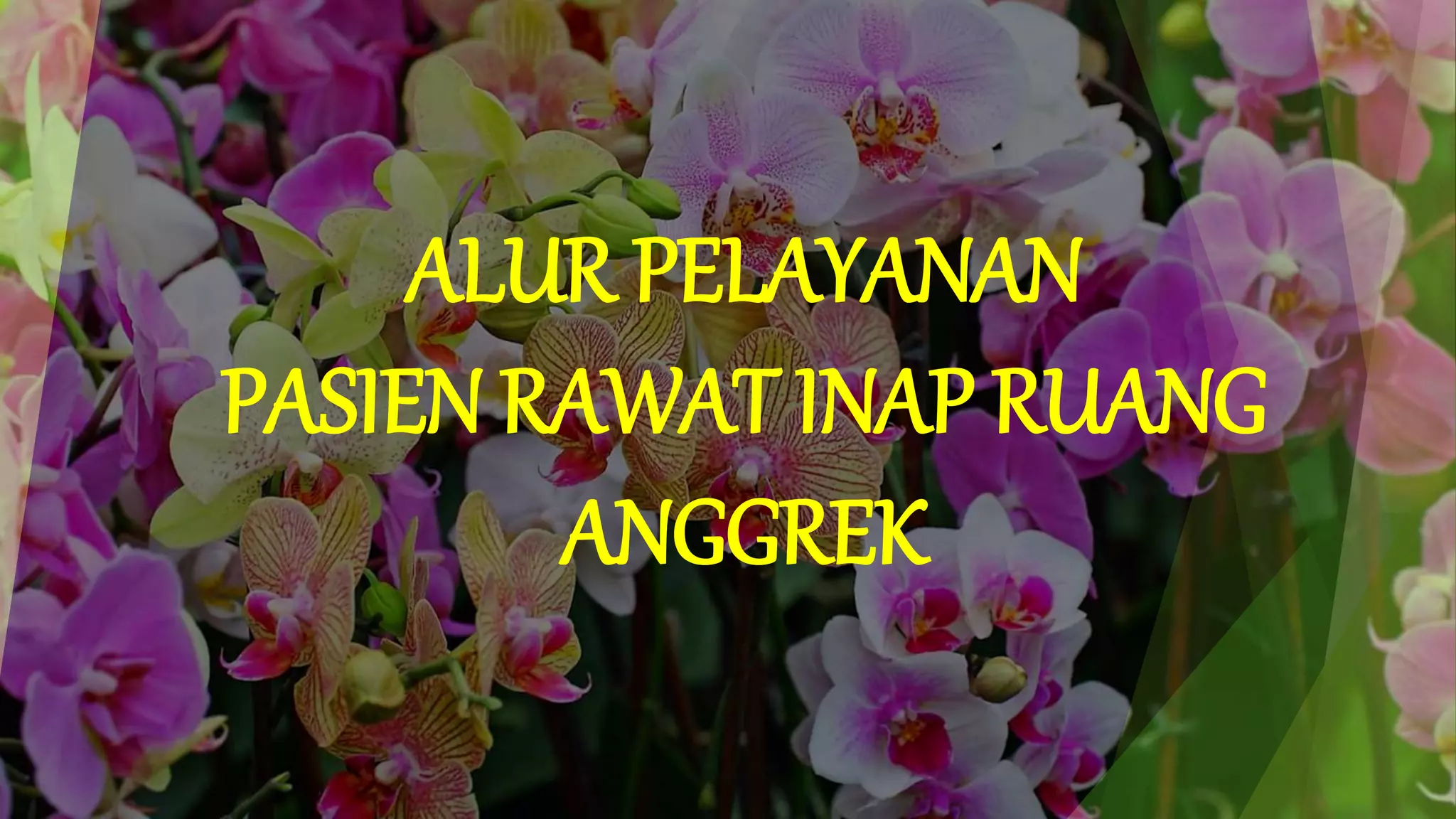 ALUR PELAYANAN RANAP.pptx