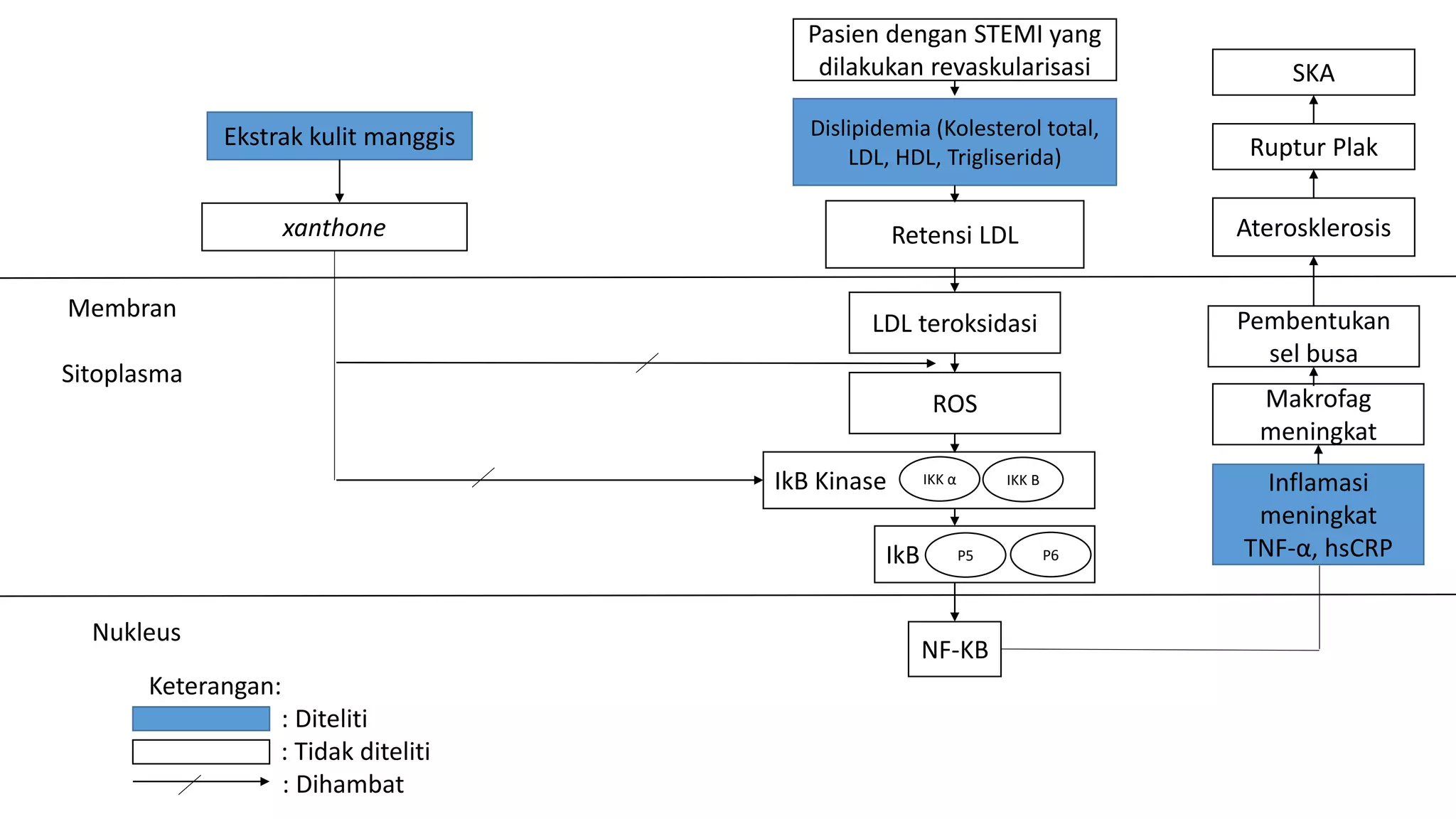 alur penelitian.pptx