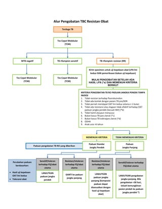 Alur Pengobatan TBC Resistan terhadap Obat.pdf