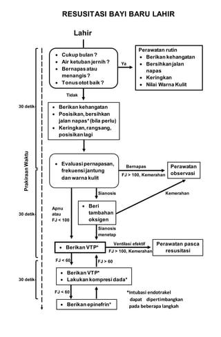 Alur Resusitasi Bayi Baru Lahir | PDF
