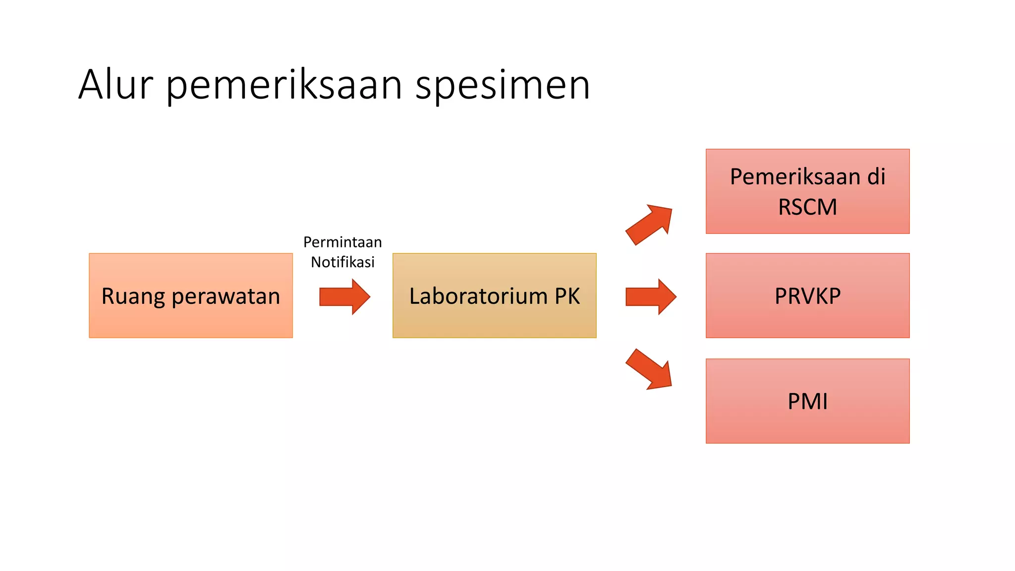 Alur skrining hepatitis akut di RSCM 5 Mei 2022.pdf