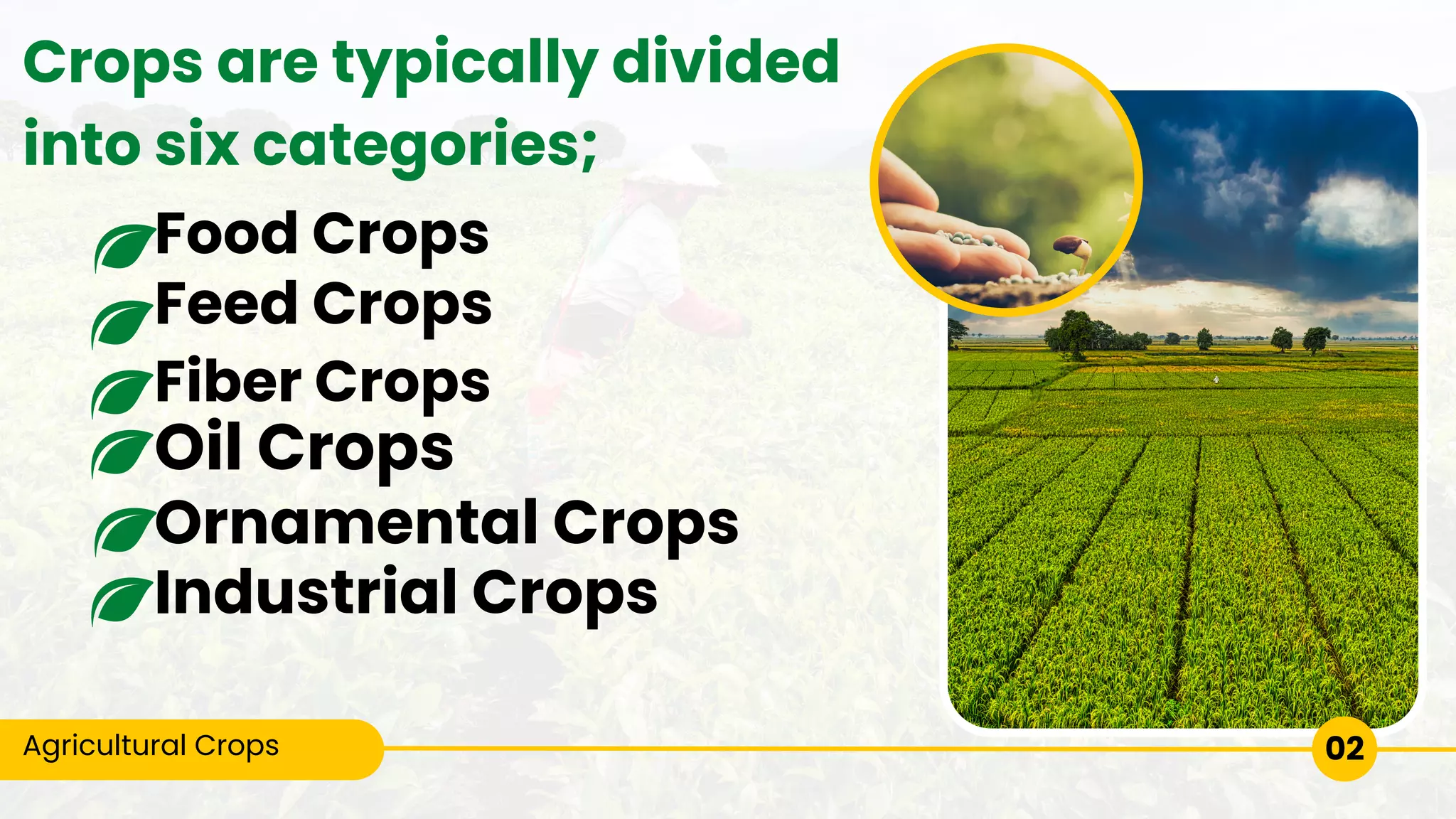 ALVAREZ, RUBY ANN J_PLANT CROPS.pdf