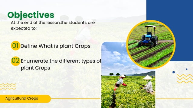 ALVAREZ, RUBY ANN J_PLANT CROPS.pdf