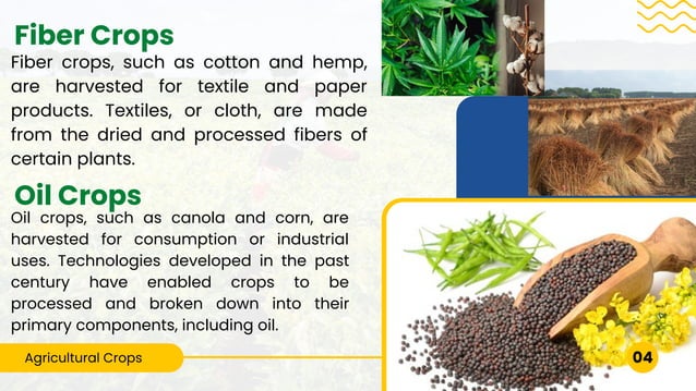 ALVAREZ, RUBY ANN J_PLANT CROPS.pdf