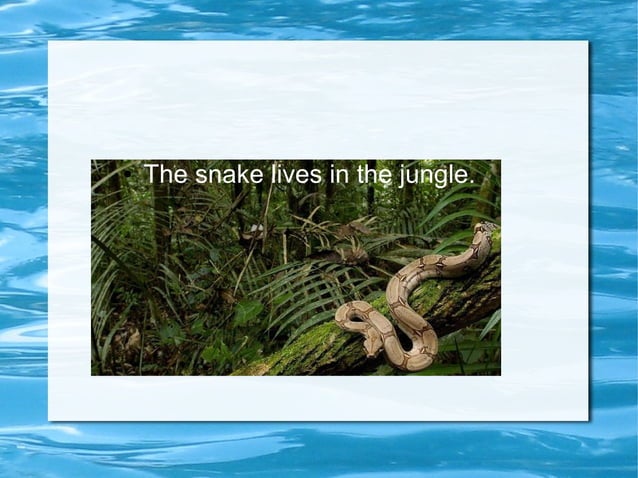 The snake | PPT