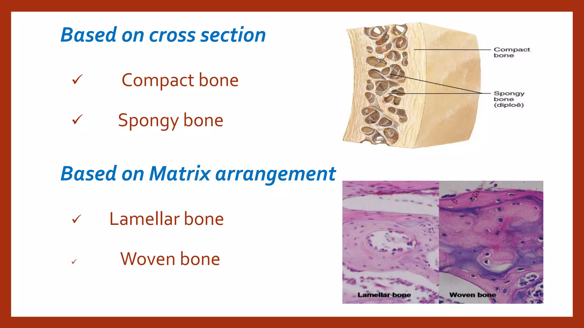 AlVEOLAR BONE dr naveen reddy | PPTX