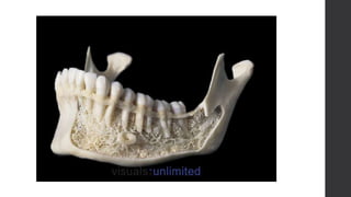 Oral Histology - Alvelor bone | PPTX