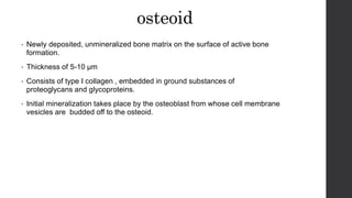 Oral Histology - Alvelor bone | PPTX