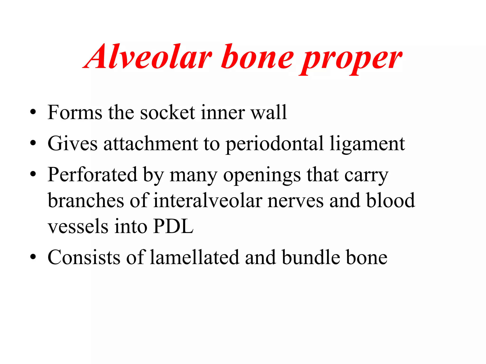 Alveolar | PPTX