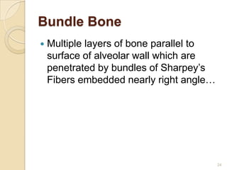 report Alveolar Bone_iDraft | PPTX