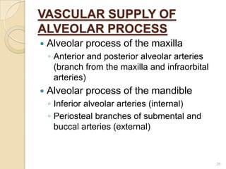 report Alveolar Bone_iDraft | PPT