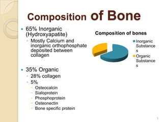 report Alveolar Bone_iDraft | PPTX