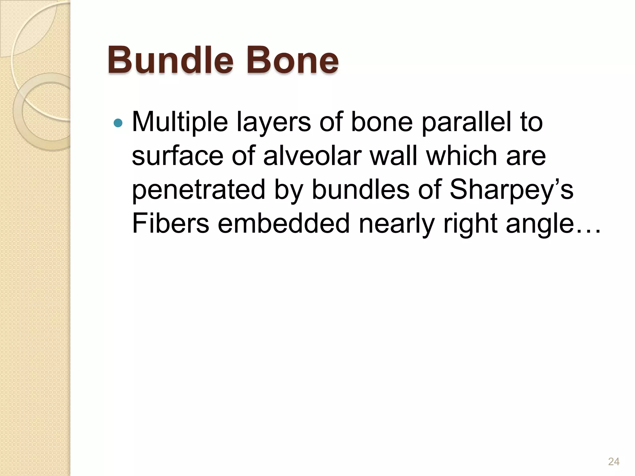 Alveolar Bone | PPTX